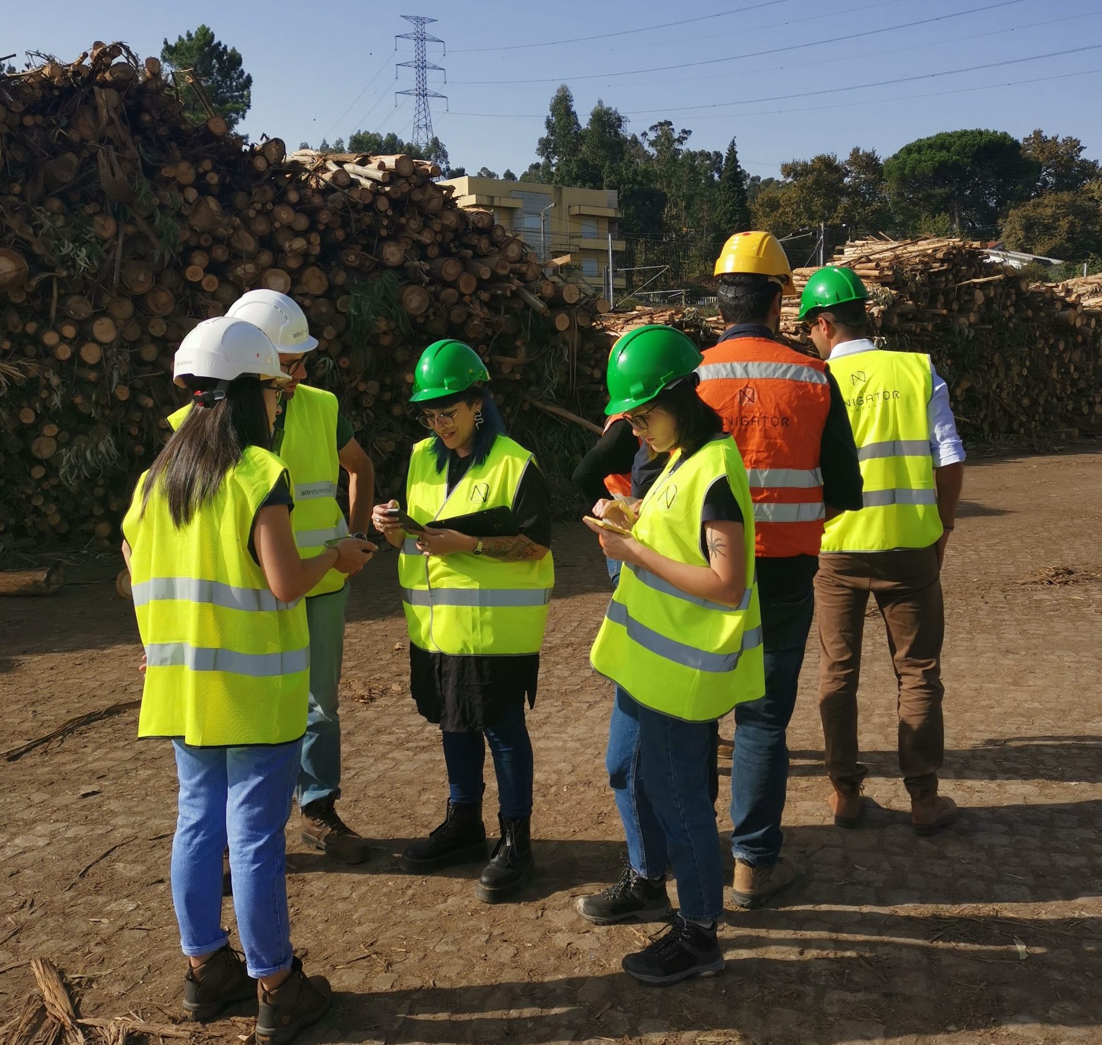 rePLANT partners with Timbeter to modernize industrial timber ...